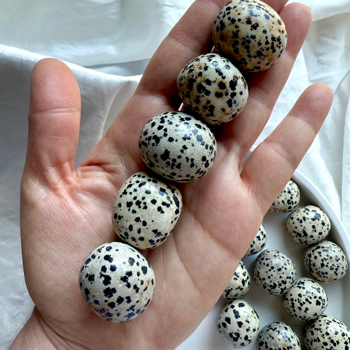 Dalmatian Jasper Tumbles | Root & Sacral Chakra Crystals for Balance ...